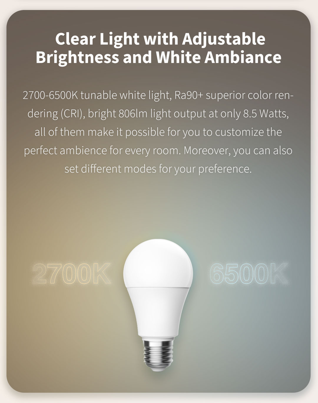 LED Bulb T1